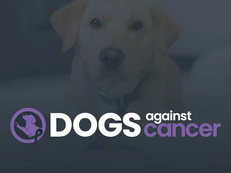 How It Works - Dogs Against Cancer